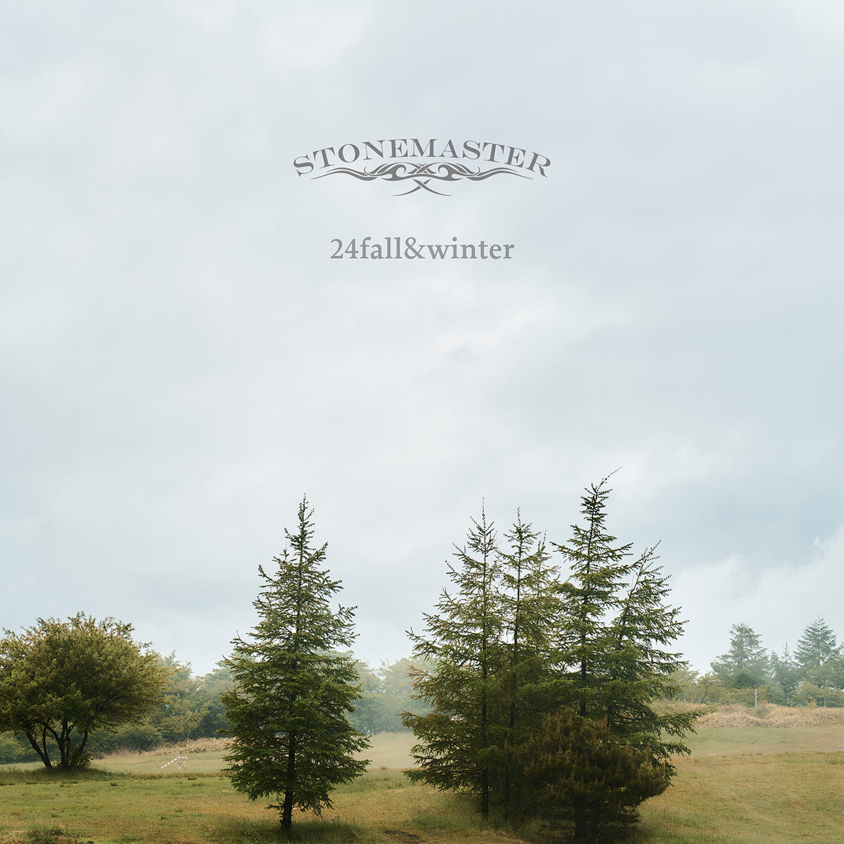 STONEMASTER 2024 fall & winter Launch! – SNJ STORE